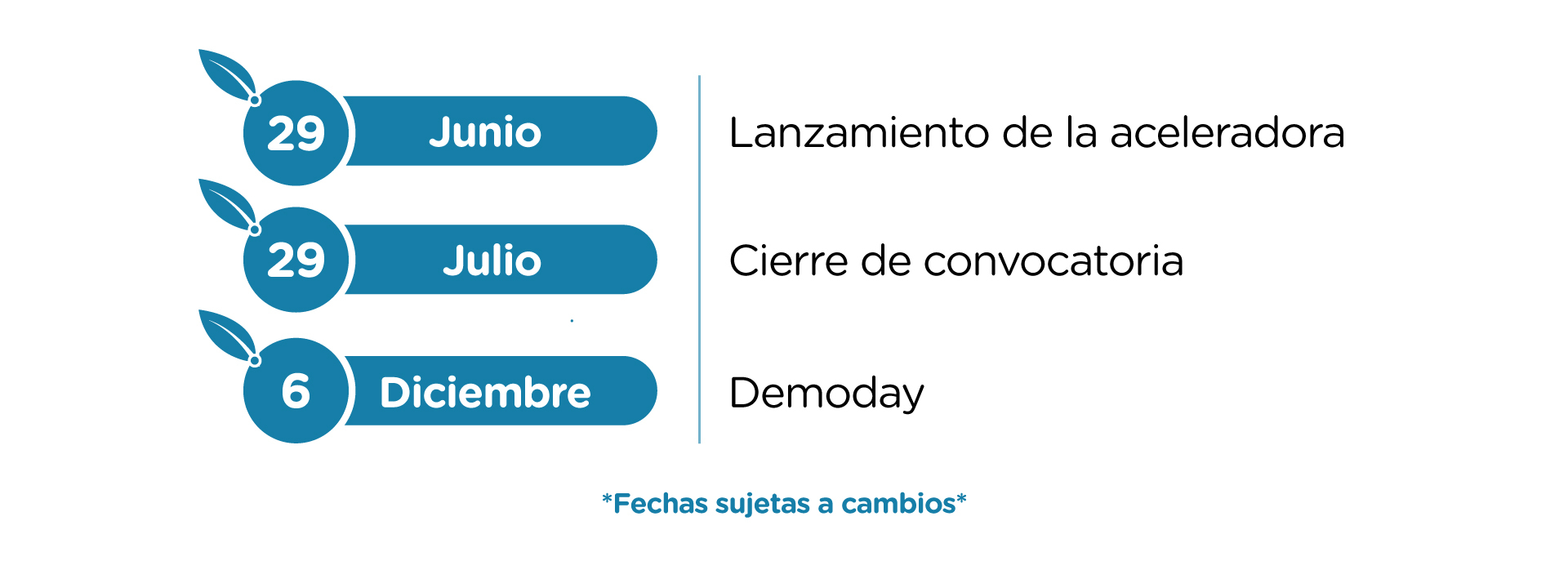 Connect Climatech Accelerator - Connect